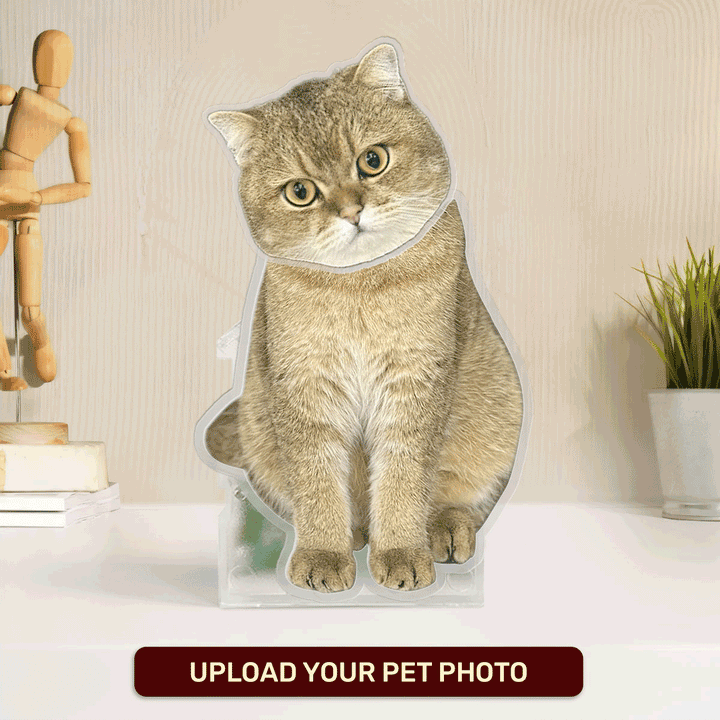 Shaking Head Standee – Dosaur